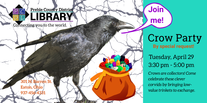 Crow Party! Crows are collectors of bright shiny objects.